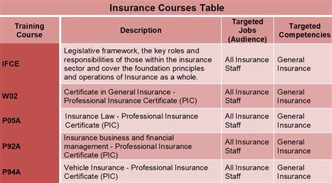 Insurance Career Path Manual