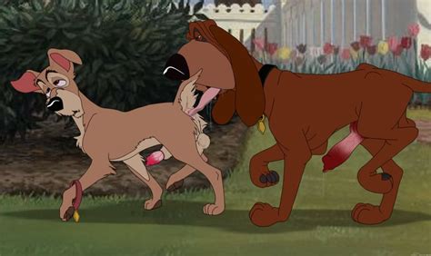 Rule 34 Absurd Res Anal Anatomically Correct Anatomically Correct