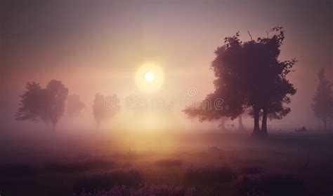 A Foggy Field With Trees And Grass In The Foreground And The Sun In The