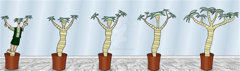 Tree TF By Hippo On DeviantArt