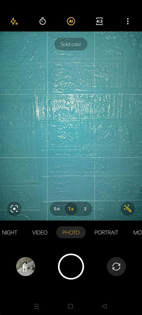 Does Anyone Know A Camera App That Helps With Copying The Pose Of Your