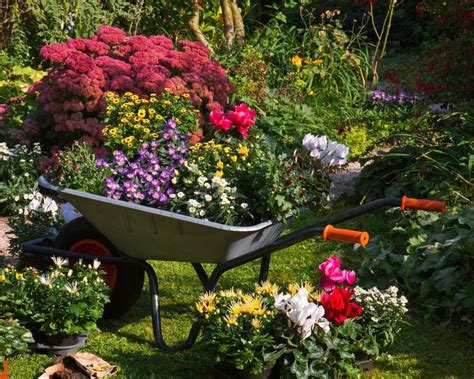 Se Mere Pizzaherningdk