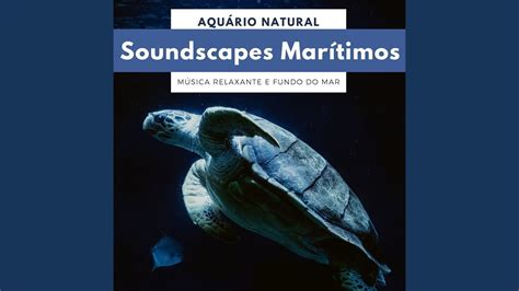 Música Relaxante e Fundo do Mar YouTube