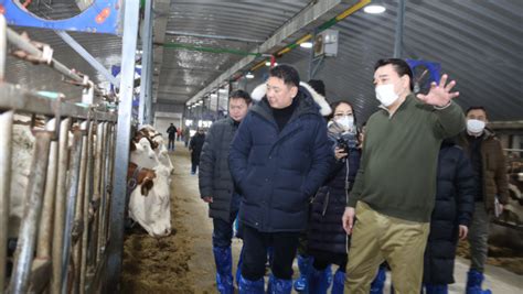 Хүүхдийн сүү сүүн бүтээгдэхүүнийг дотоодоосоо бүрэн хангадаг жишиг сүүний фермийг хөгжүүлнэ