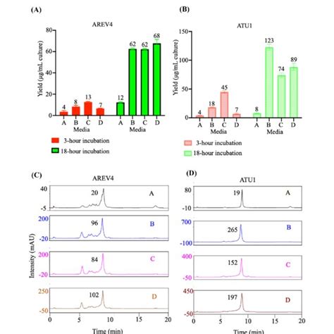 IP RP HPLC Analysis Of DsRNA A Chromatogram Of Total RNA Extracted