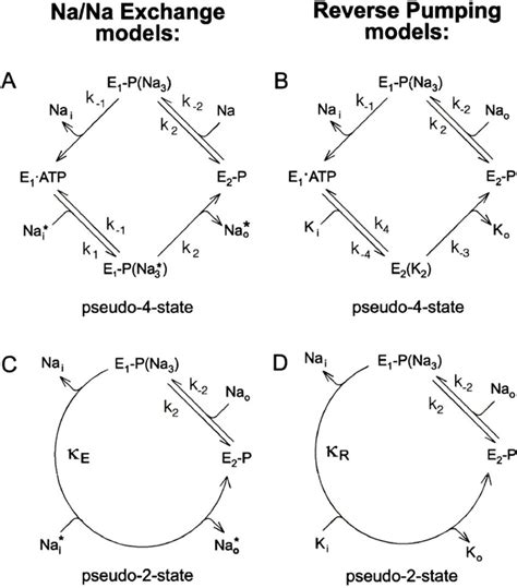 Reduced Kinetic Schemes Derived From That In Fig 8 For Two Specific