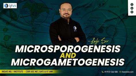 Microsporogenesis And Microgametogenesis Youtube