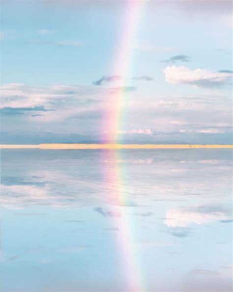 Jilted Generation On Tumblr