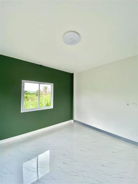 Best Colour Combination For Living Room Wall Interior Wall Color Ideas