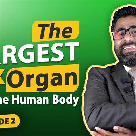 Stream The Largest Sexual Organ Dr Deepak Arora Expert Insights By Pawan Saini Listen Online