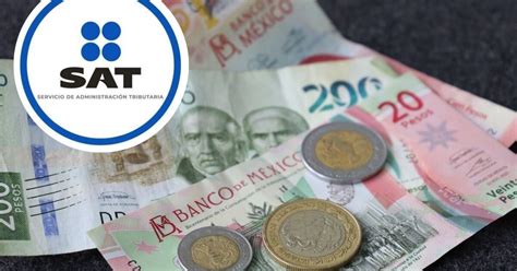 Evita Multas Del Sat Este Trámite Es Obligatorio Y El Plazo Está Por