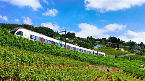 스위스 하이킹 Lavaux 포도 원 테라스 근처 기차를 실행 0명에 대한 스톡 사진 및 기타 이미지 0명 Unesco 조직된 단체 경관 Istock