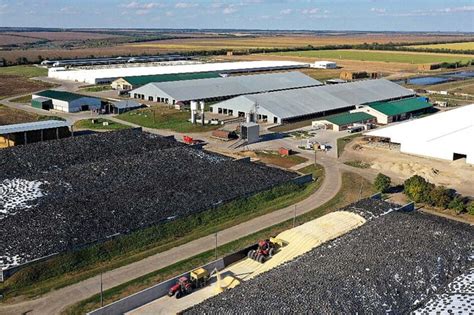 Challenges At A Ukrainian Dairy Farm Near The Frontline Dairy Global