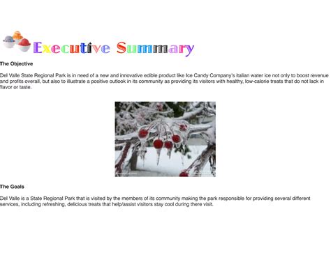 Executive Summary Final PAGES