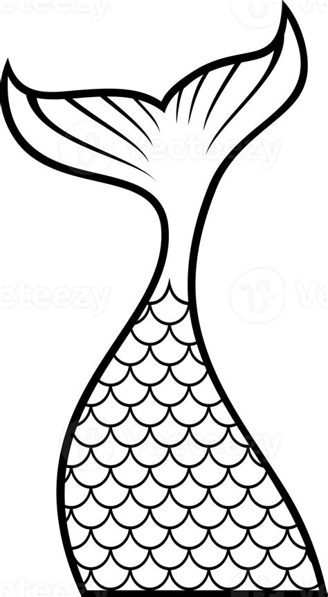 Mermaid Fin Mermaid Cakes Mermaid Theme Ariel Party Mermaid