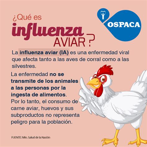 Ospaca Campañas De Prevención Gripe Aviar