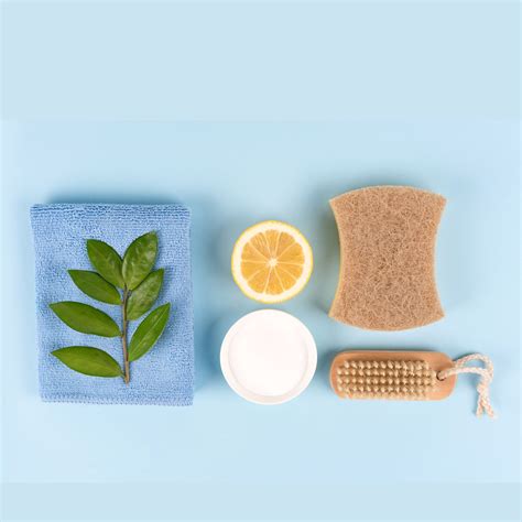 Creating A Healthier Home Eliminating Common Household Chemicals