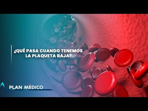 Riesgos De Tener Plaquetas Bajas En El Embarazo Gimnasio Madrid