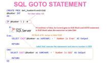SQL GOTO Statement - SQL BI Tutorials