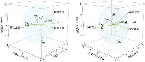 我国污染地块土壤砷生物可给性关键影响因素研究