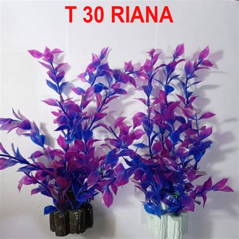 Produk Toko Ikan Avilo Shopee Indonesia