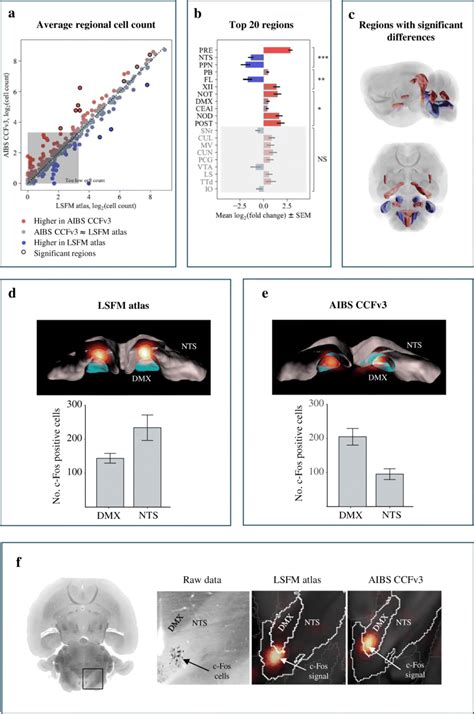 Choice Of Brain Atlas Influences The Number Of C Fos Positive Cells Per
