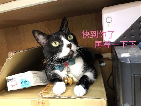 心欣診所 Clinics診所通雲端服務平台 診所通行動掛號app