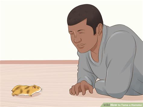 How To Tame A Hamster 14 Steps With Pictures Wikihow