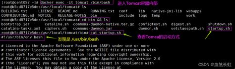 Docker报错：oci Runtime Exec Failed Exec Failed Container Linux Go 380 Starting Container