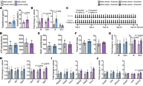 Jci Intermittent Glucocorticoid Treatment Enhances Skeletal Muscle
