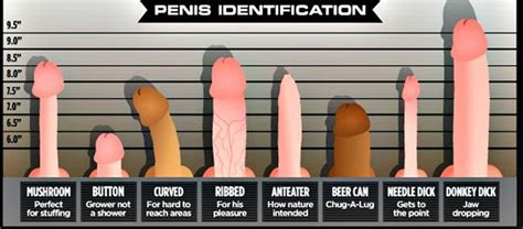 Which One Do You Like Kyblue333