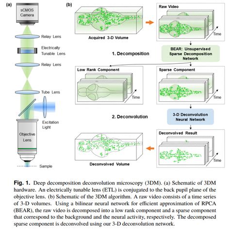 Dm Deep Decomposition And Deconvolution Microscopy For Rapid Neural Activity Imaging Kaist