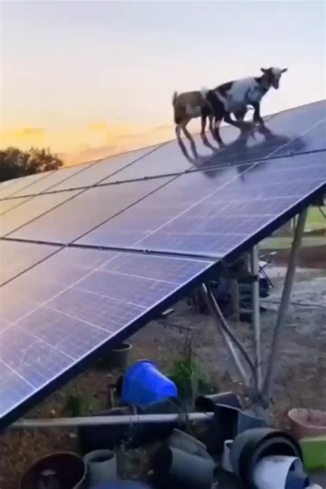 Solar Energy Album On Imgur