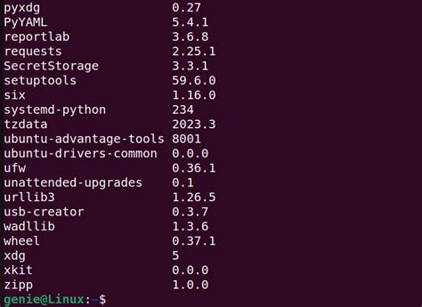 How To Install Pip On Ubuntu 2204 Linux Genie