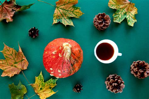 가을 구성 호박 말린 잎 소나무 콘 테스 컵 배경으로 만든 프레임 템플릿 가을 가을 할로윈 추수 감사절 개념 플랫 레이 상단 보기 복사 공간 배경 0명에 대한 스톡 사진 및