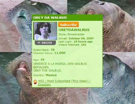 [youtube Horror Community Creepypastas] The Tale Of Obey The Walrus