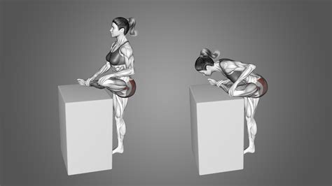 Standing Piriformis Stretch Benefits Muscles Targeted And More