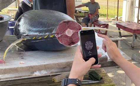 Dentsu To Promote Tuna Grading Ai Tech Overseas The Japan Times