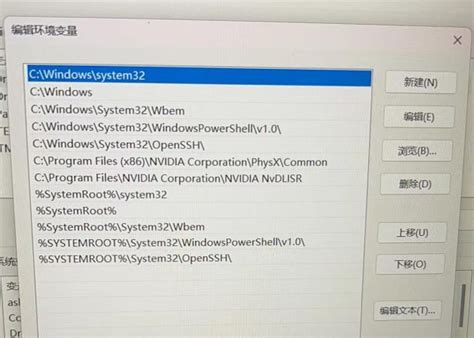 环境变量问题 csdn博客