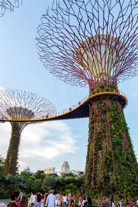 Cool Things To Do In Singapore Secret Spots For You To Explore Artofit