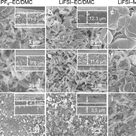 Li Metal Deposition Morphologies Top Views And Cross Section Insets