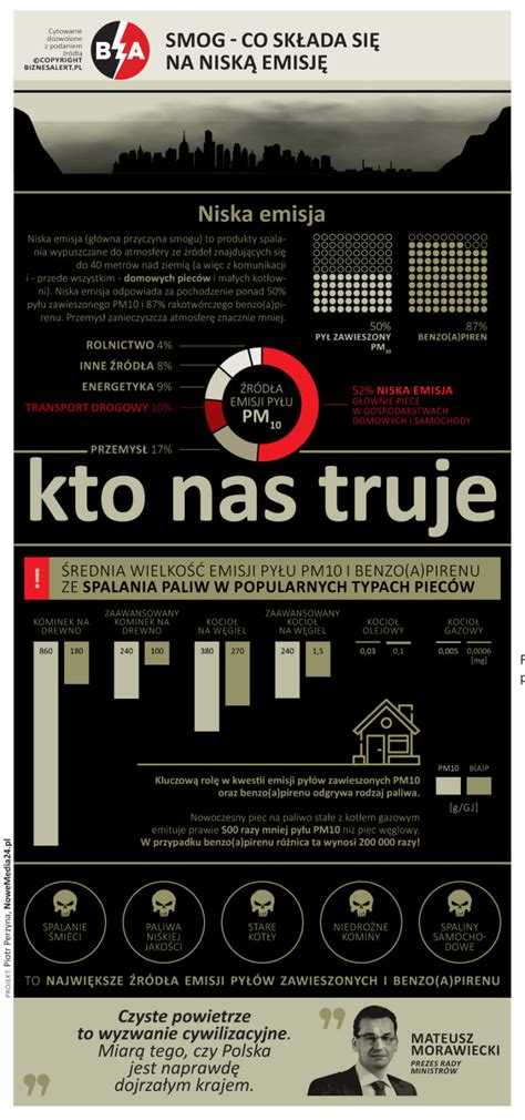 Rzędowska Kto truje powietrze w polskich miastach INFOGRAFIKA