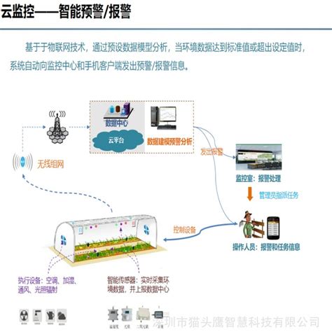 深圳市猫头鹰智慧科技有限公司 其他咨询 爱企查企业服务平台