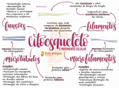 Mapa Mental Citoesqueleto Biologia Pdf
