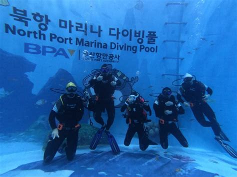 Padi 부산스쿠버다이빙 창원스킨스쿠버 프리다이빙 마린버블다이브 북항마리나 수영장으로 투어 Gogo~ 네이버 블로그
