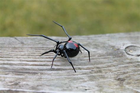 Art Glass Black Widow Figurine Blown Glass Spider Hand Blown Etsy