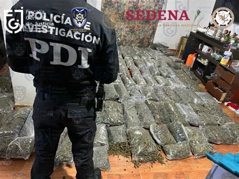 Incautaron Más De 200 Kg De Cocaína Y Casi Medio Millón De Pesos