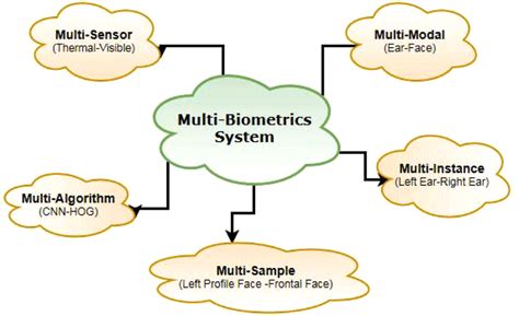 Different Types Of Multi Biometrics Systems Download Scientific Diagram