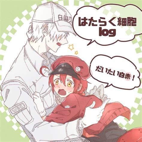 はたらく細胞まとめ pixiv年鑑 β