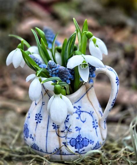 Bluebells And Snowdrops Snowdrop Flower Arrangement Ideas